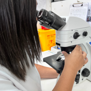 Gallery - Lancet Laboratory