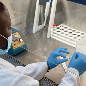 Gallery - Lancet Laboratory