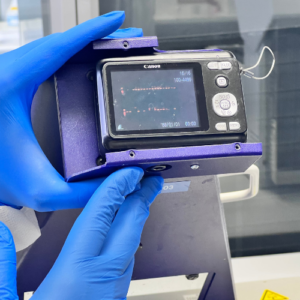 Gallery - Lancet Laboratory