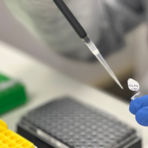 Gallery - Lancet Laboratory