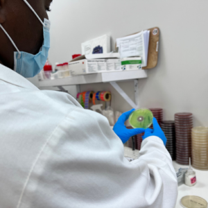 Gallery - Lancet Laboratory