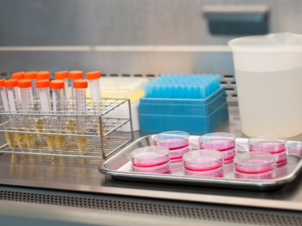 Virology and Molecular Pathology - Lancet Laboratory