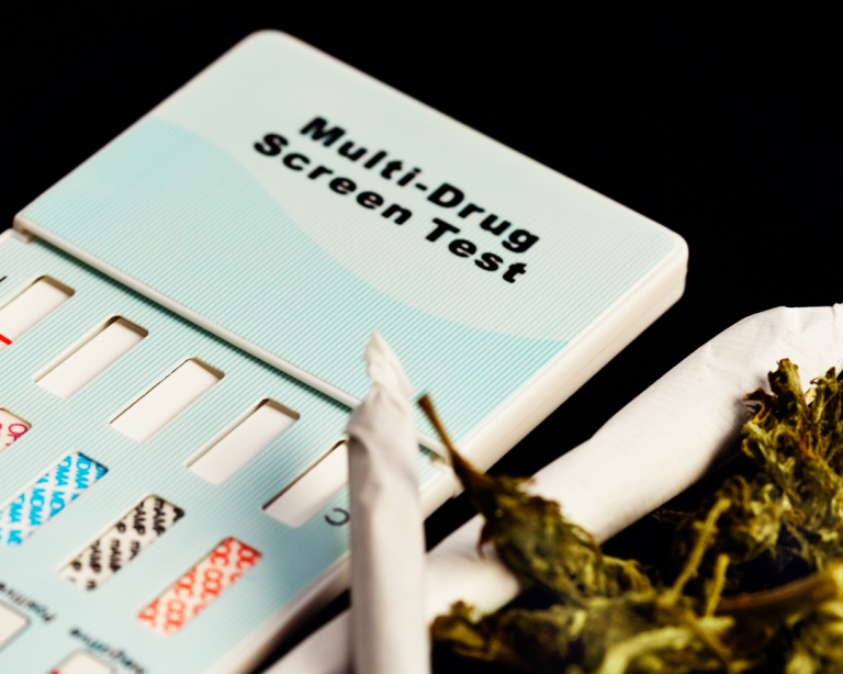 Guide to Drug Testing - Lancet Laboratory