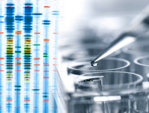 Pathologists main page - Lancet Laboratory