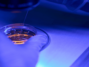 Pathologists main page - Lancet Laboratory